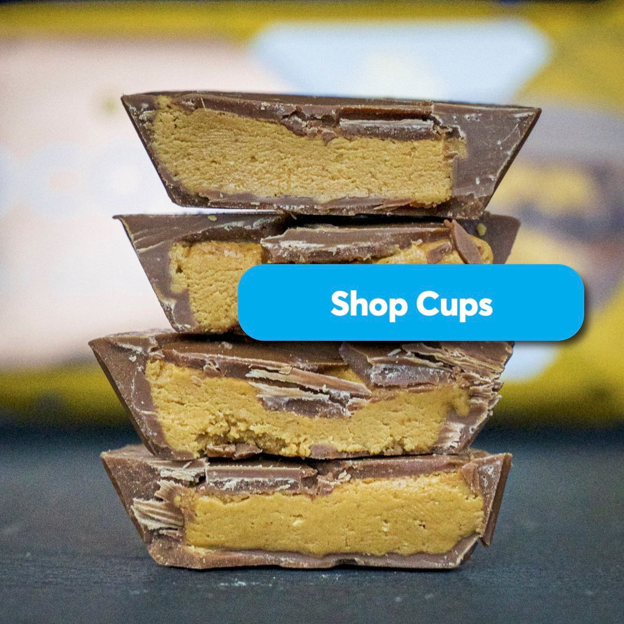Cocoa+ High Protein Chocolate – cocoa+ Protein Chocolate
